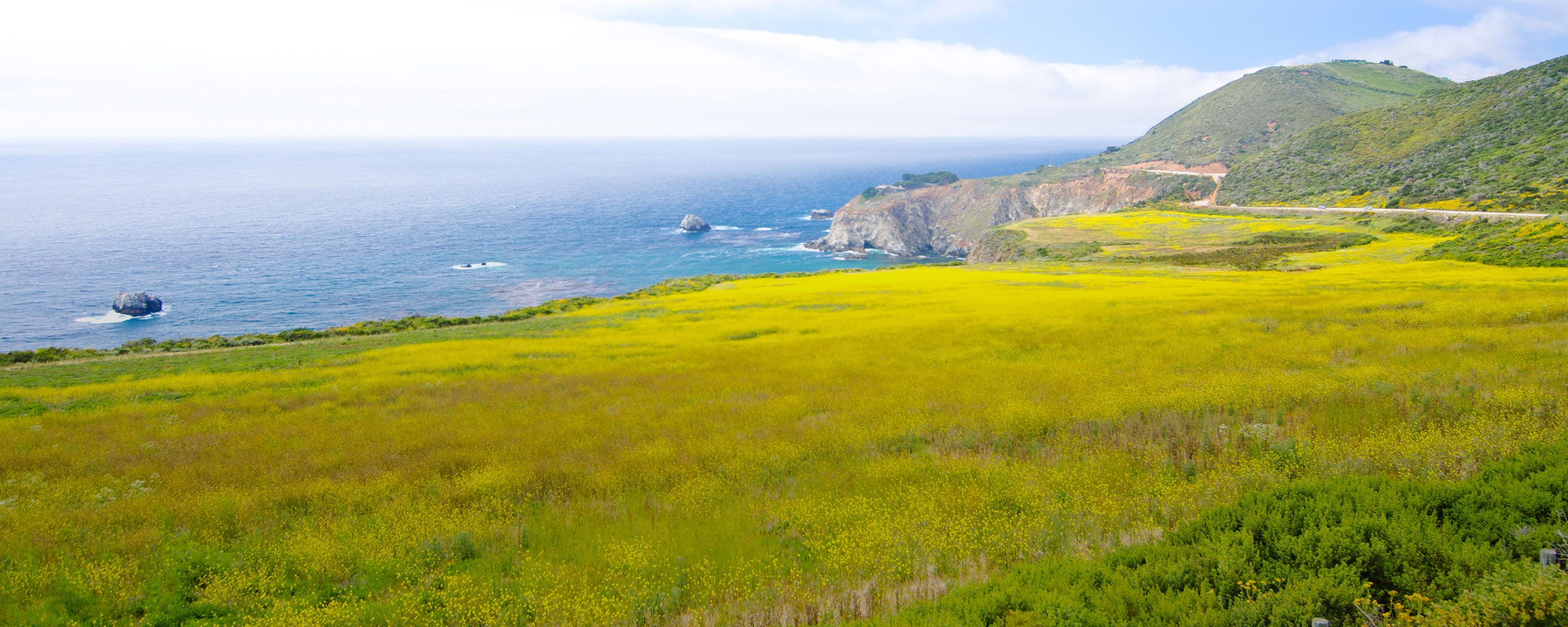 Administrative Services - Quintes