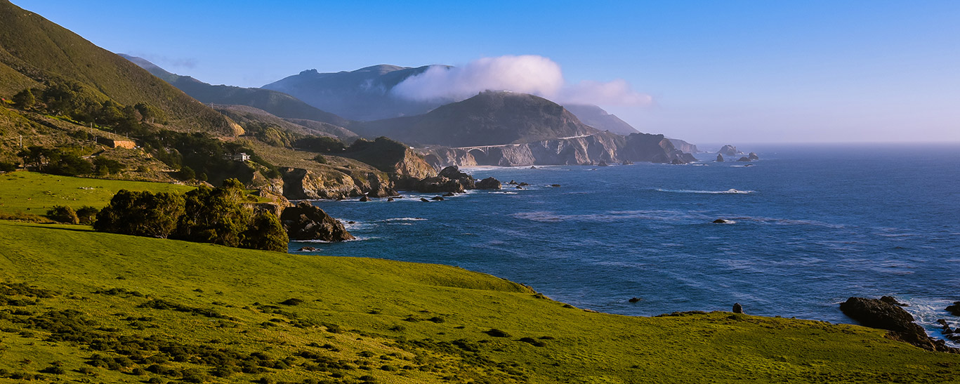 Online 401(k) Survey - Quintes